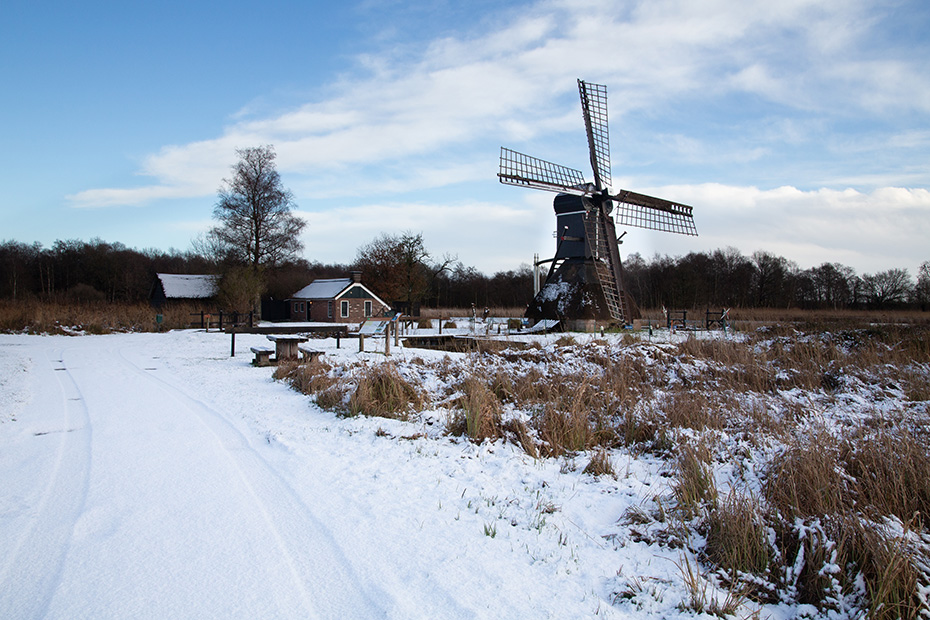 Sneeuw in de Weerribben | Schrijven met Licht